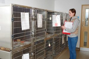 Volunteering - Folly Wildlife Rescue