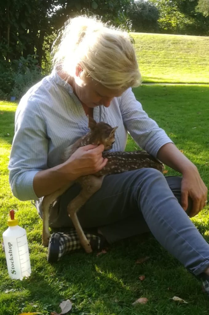 About Us - Folly Wildlife Rescue